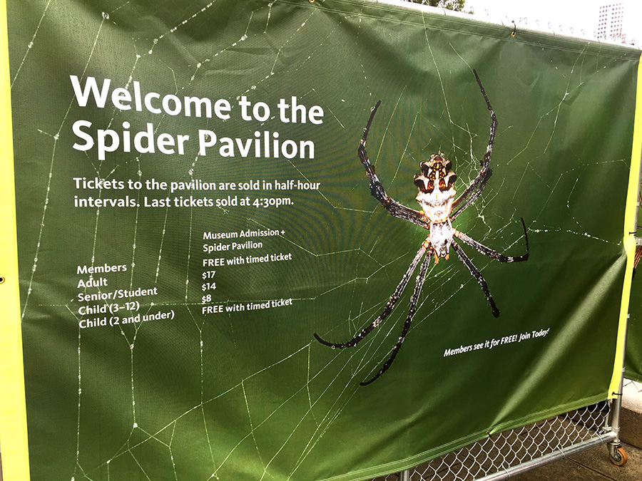Natural History Museum Spider Pavilion | Kept In Stitches